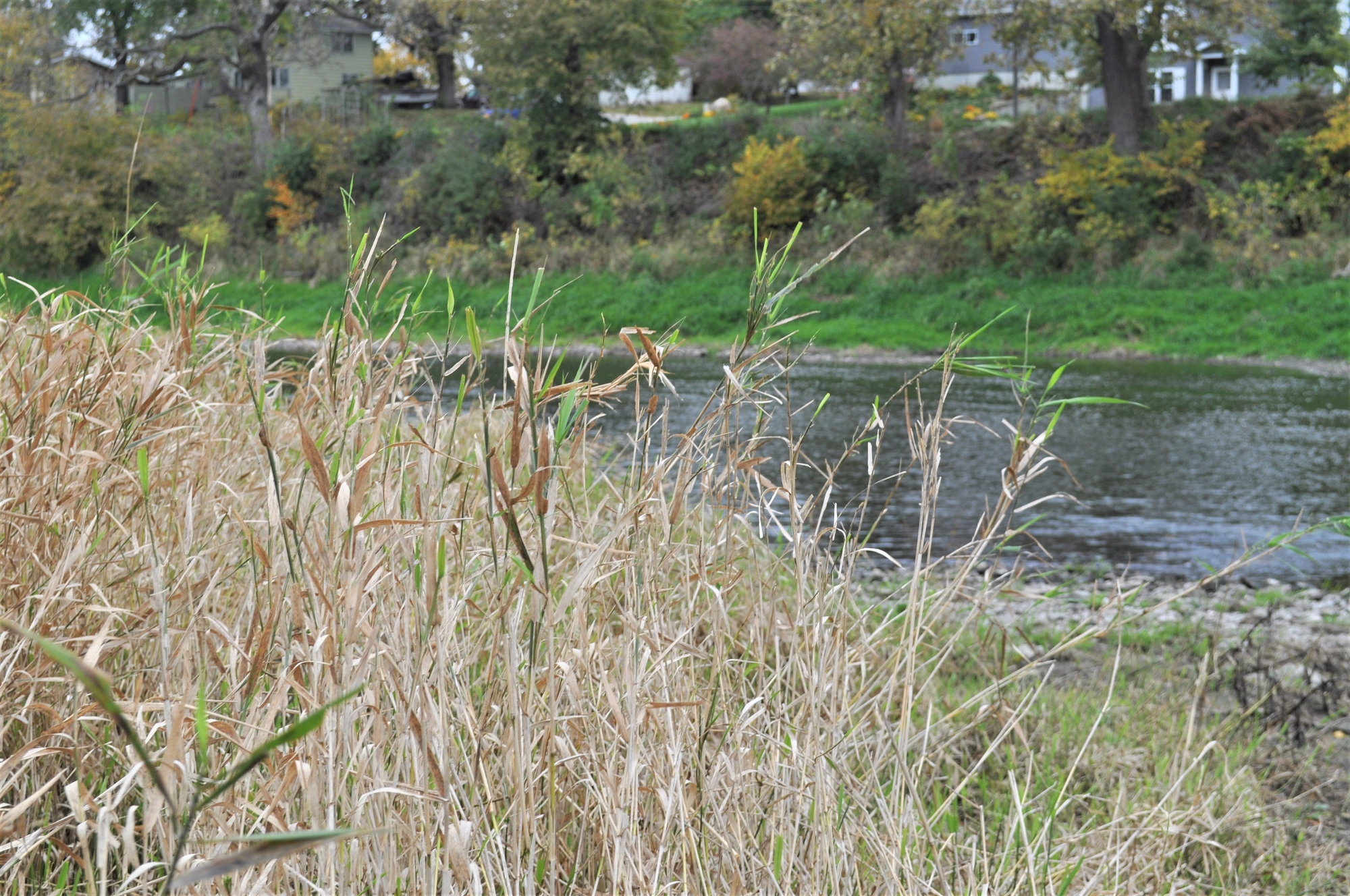 Planning for progress in Iowa’s watersheds | Center For Rural Affairs ...