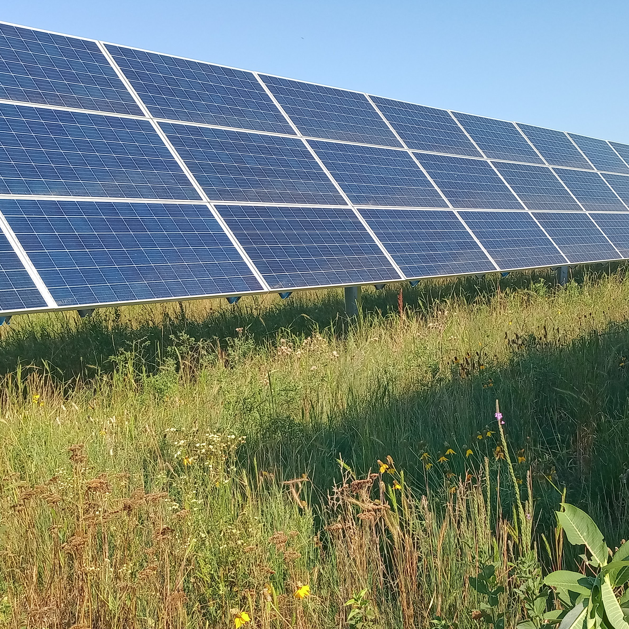 Planting the future: rural energy funding helps a nursery thrive ...