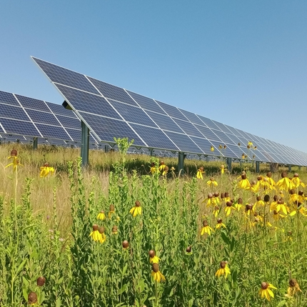 Follow the Sun tour highlights practices that combine agriculture with ...